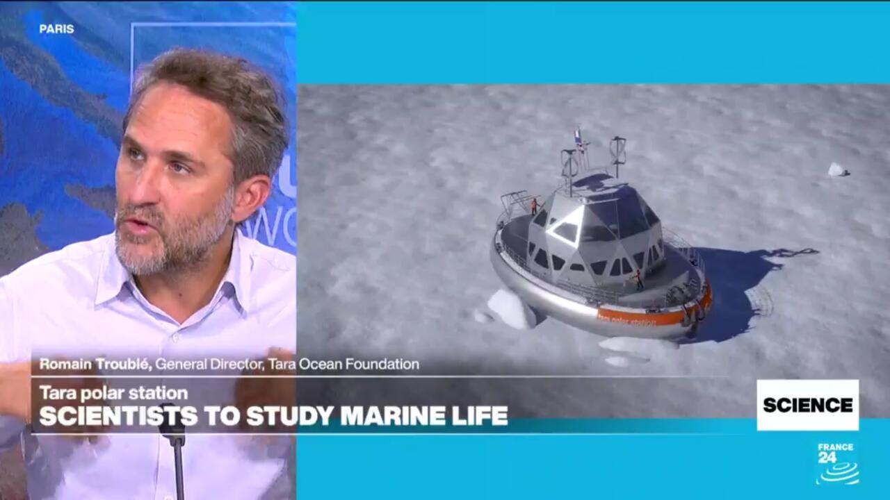 Tara Polar Station: Scientists to study marine life at North Pole - Science